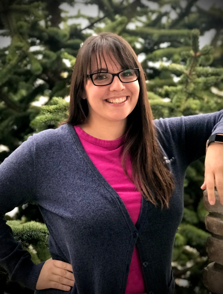 Regional Technical Assistance Leader (RTAL) – Youth Connections Coalition