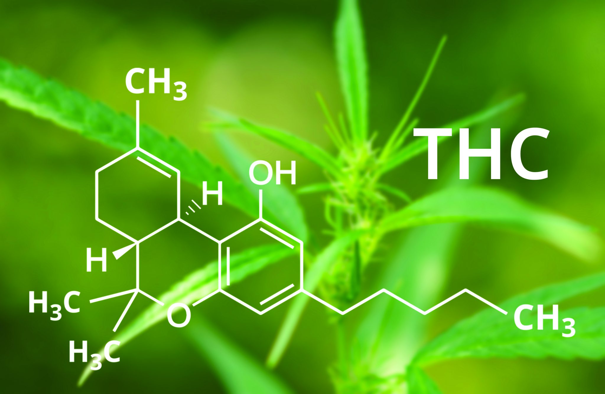 Dangers of Dabs – Youth Connections Coalition